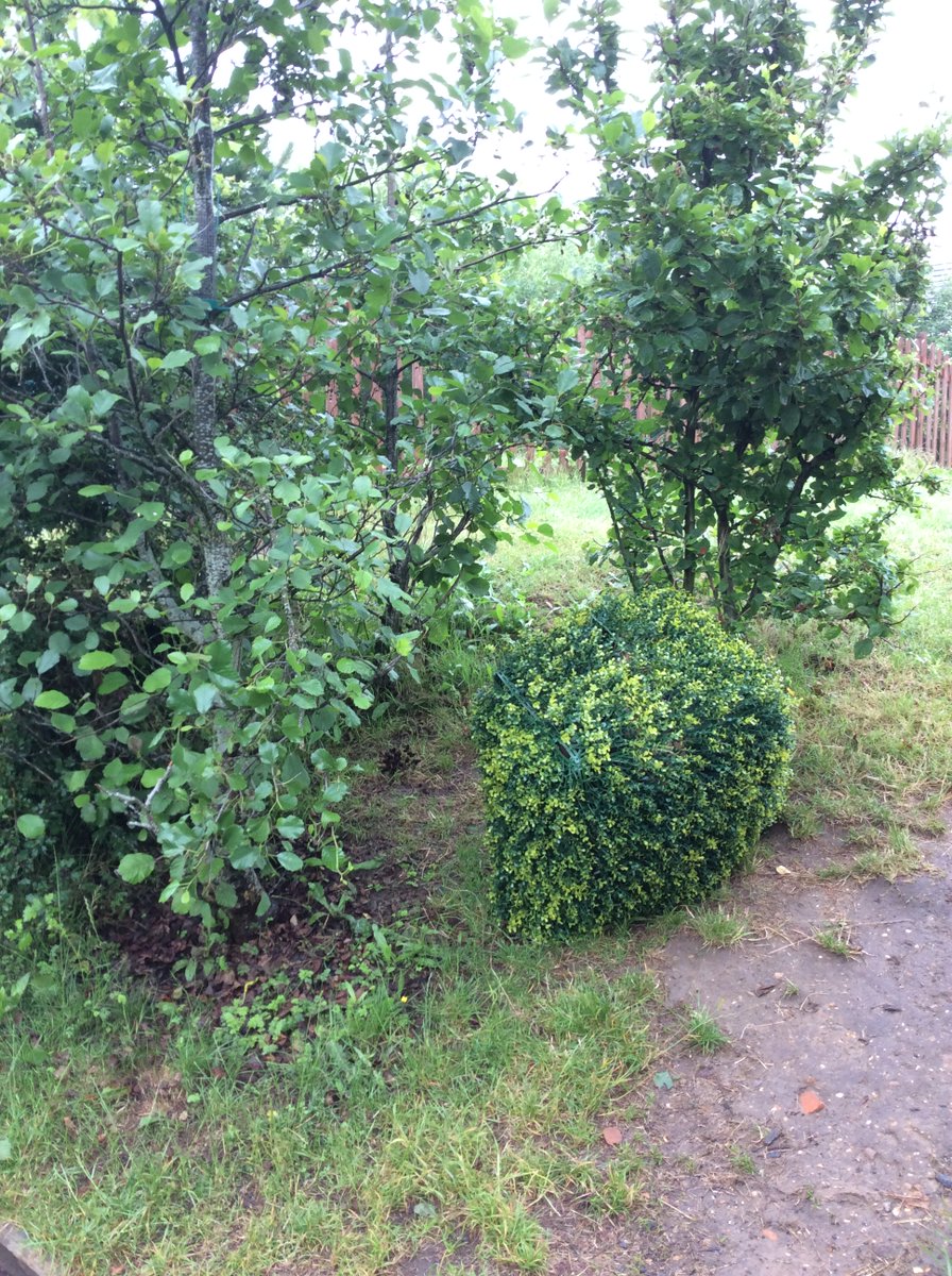 Shortstown Primary School