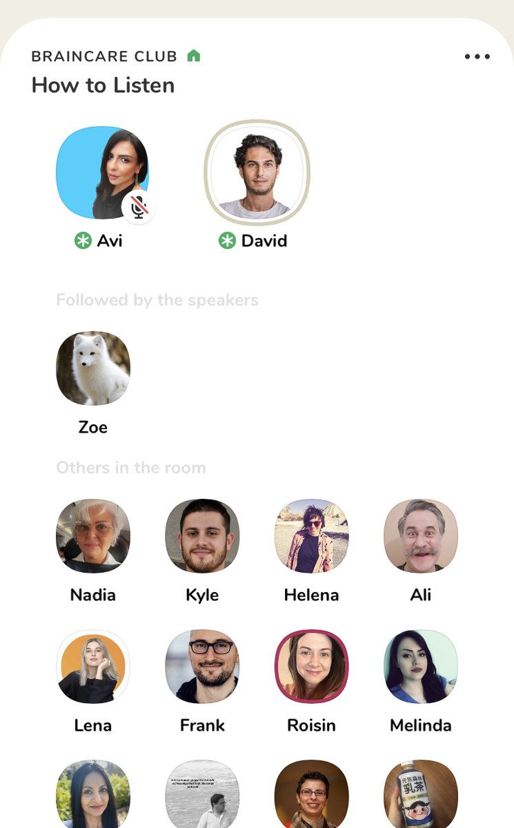 Avi Hakhamanesh (@iamsavvyavi) | Twitter