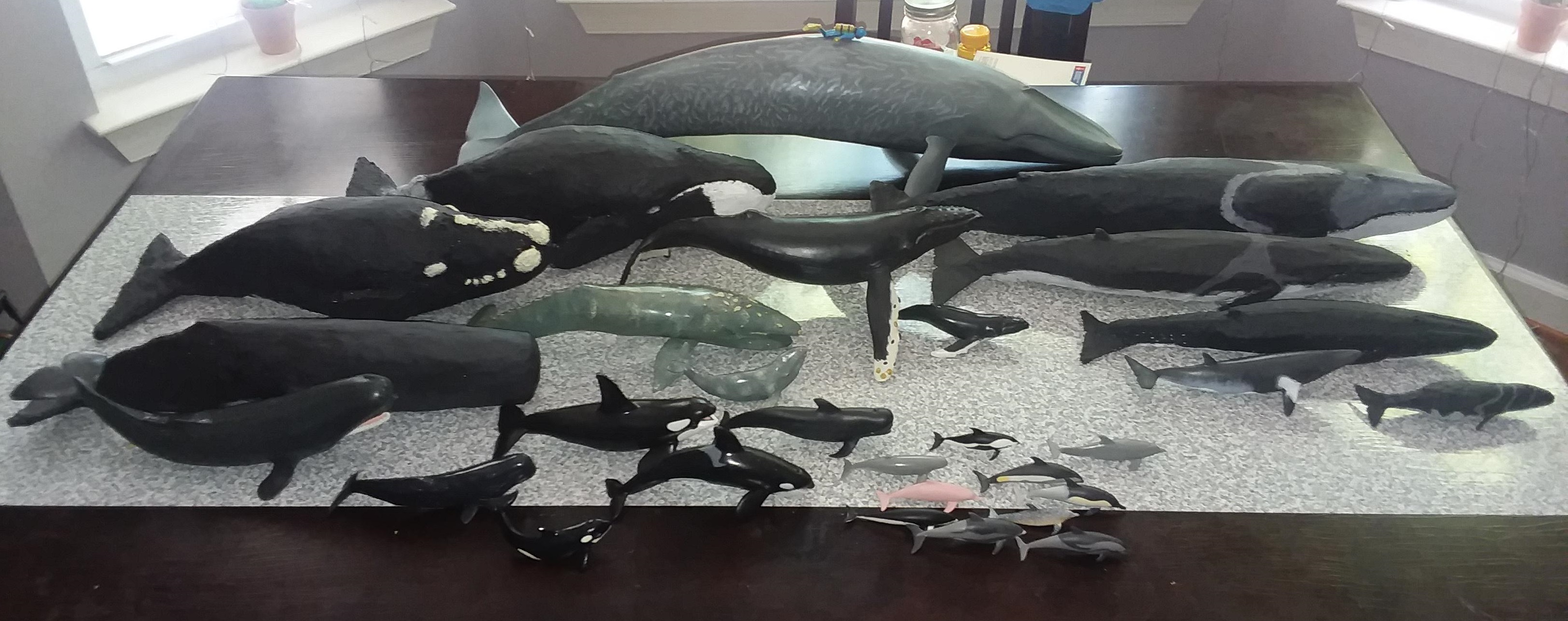 Homemade 1:40 scale whale models.