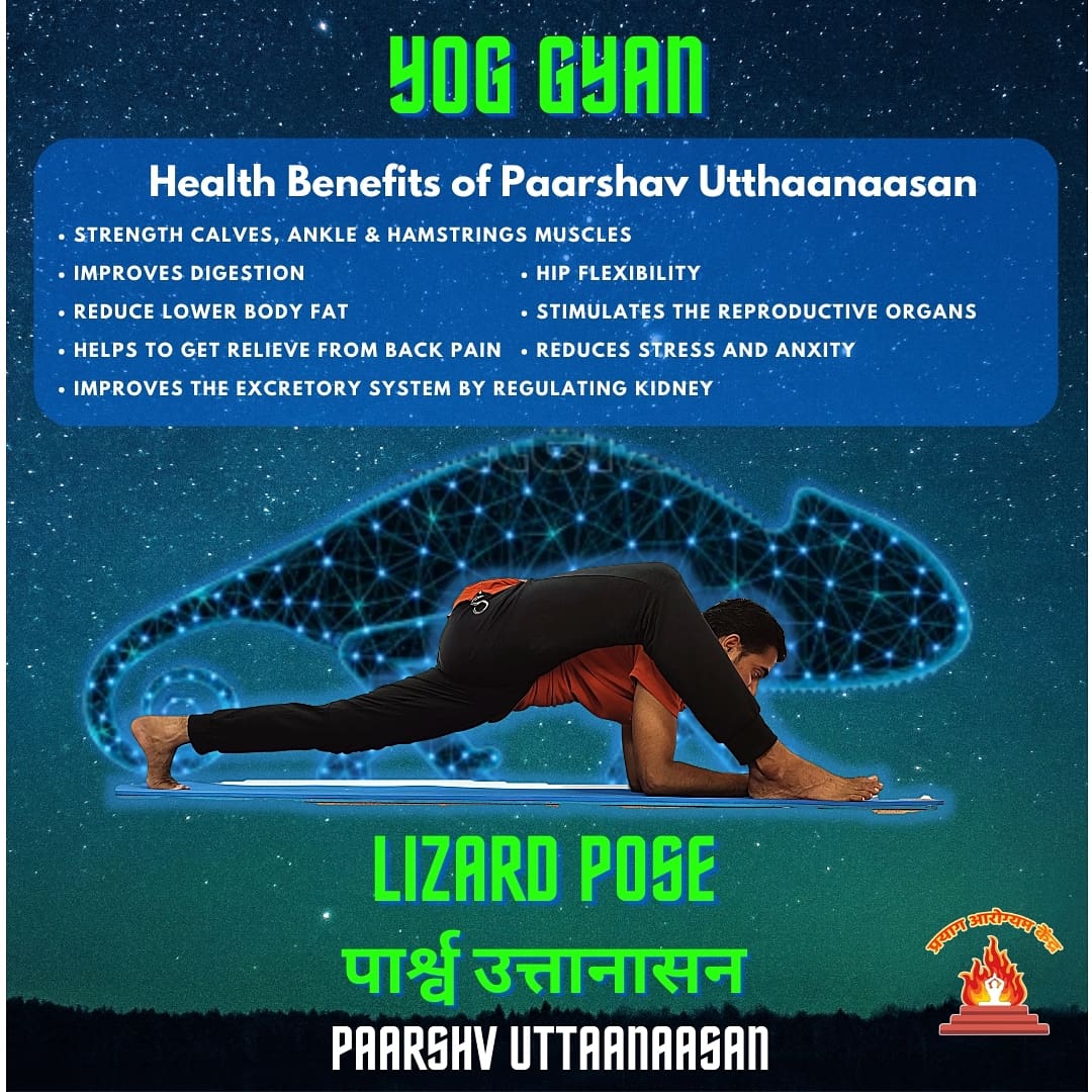 Lizard Pose Variations