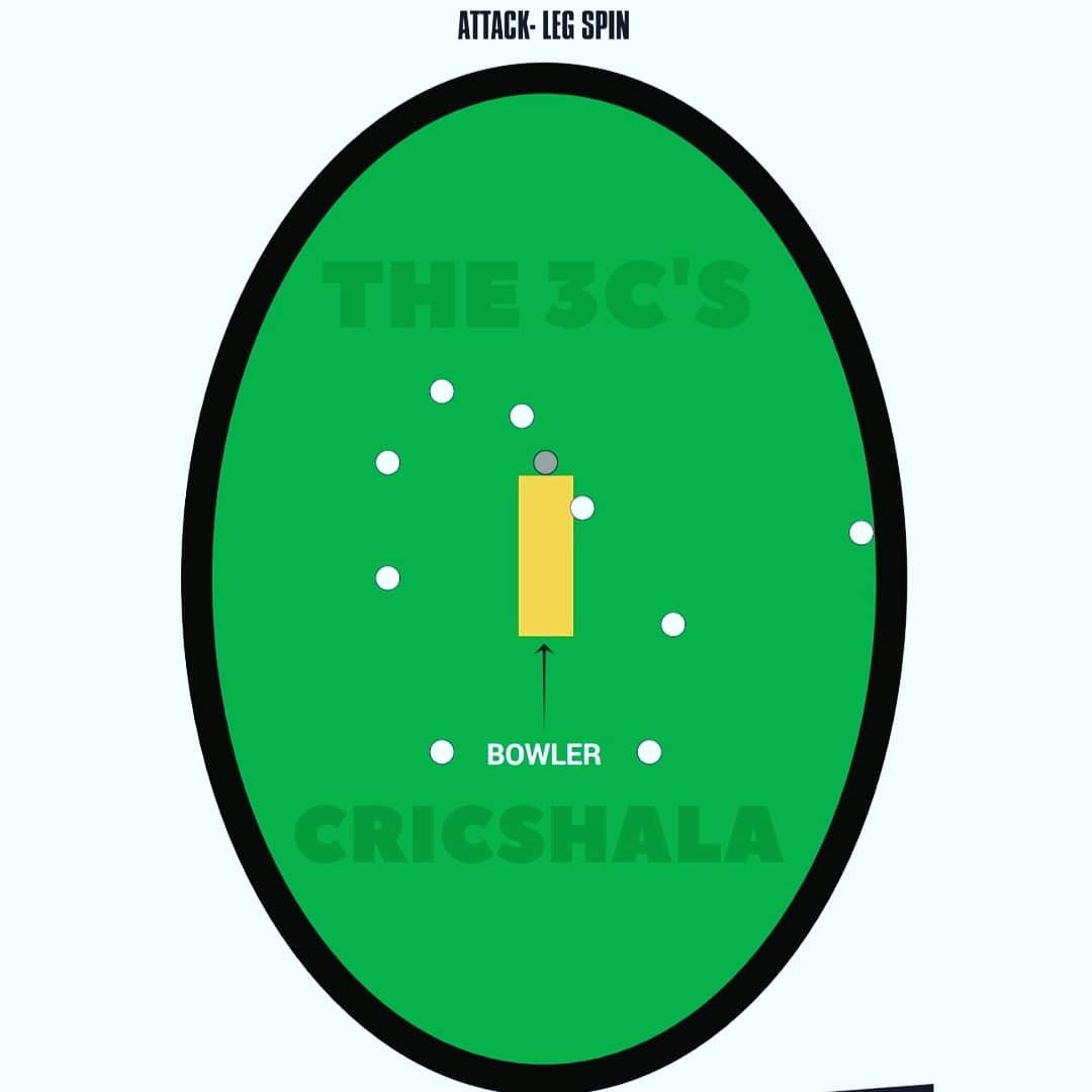 T20 Cricket Field Positions