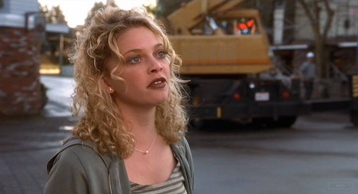 Amanda Detmer Final Destination Bus