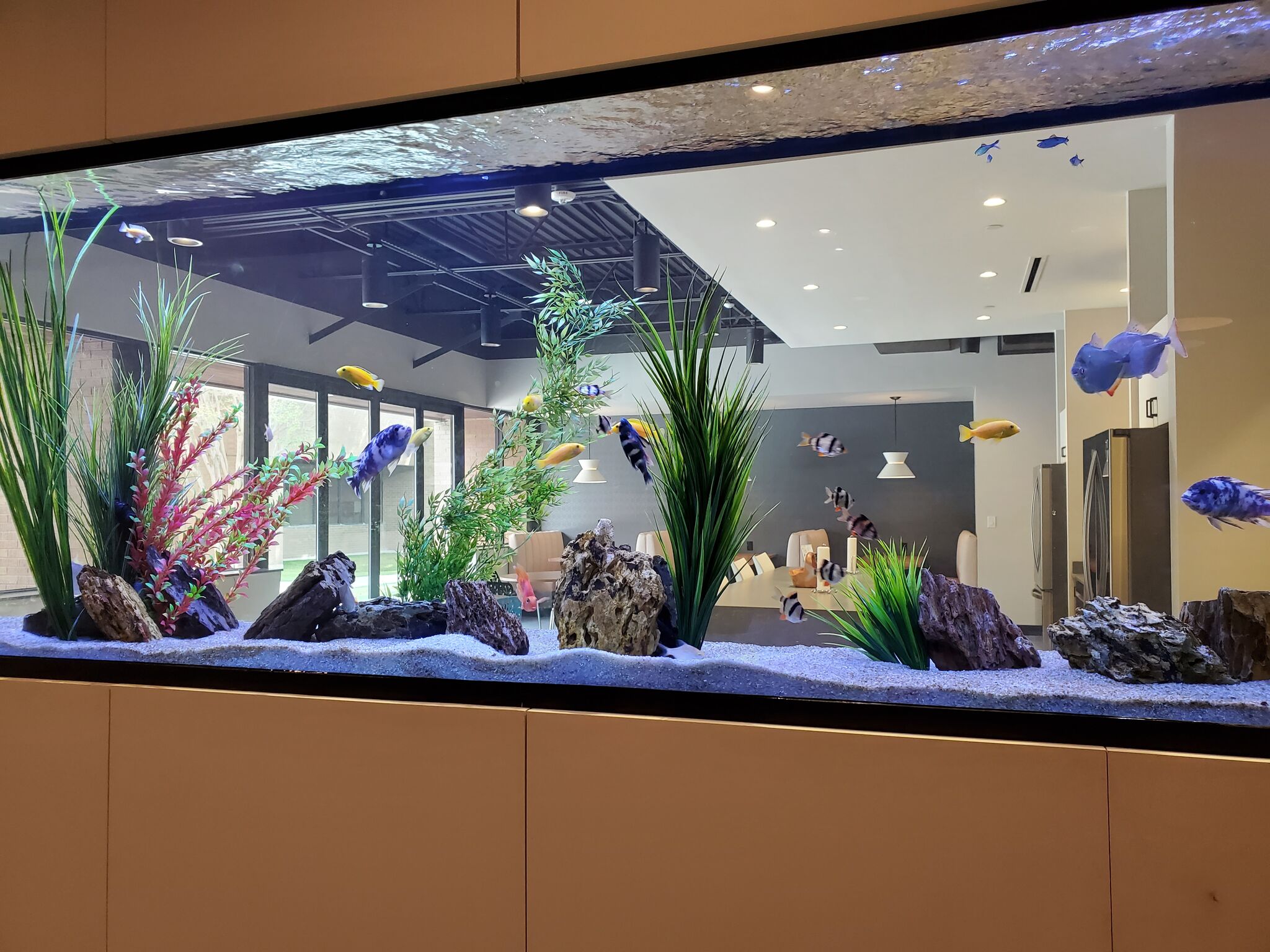 500 Gallon Fish Tank