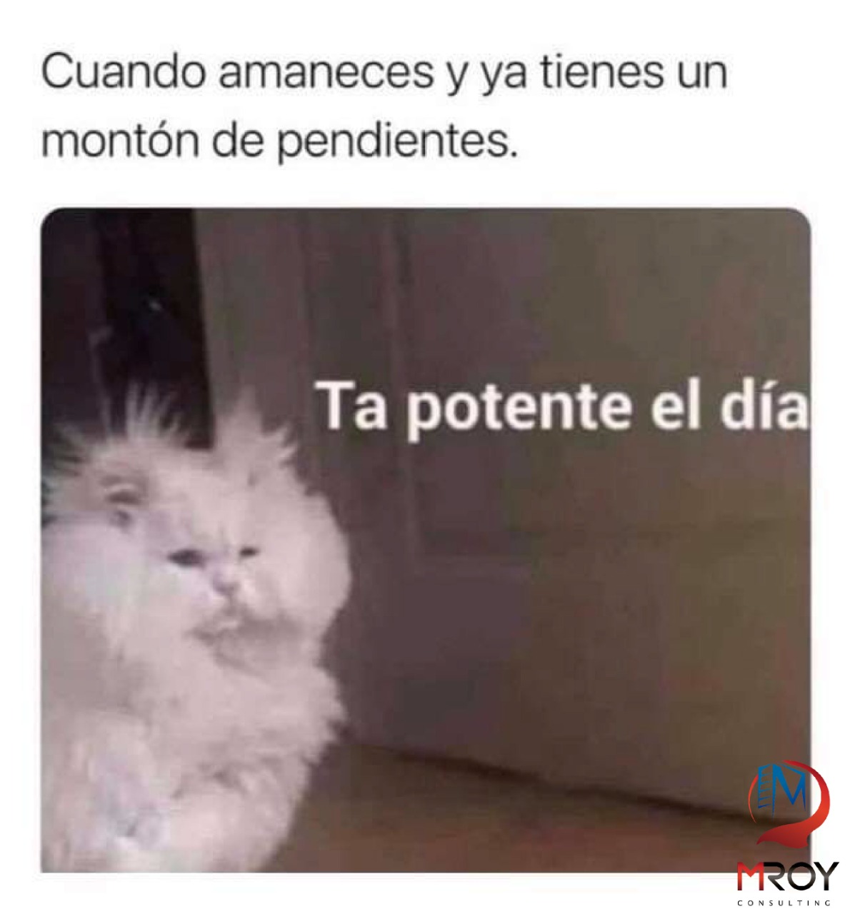 Memes Del Pendiente MEME | KND: Los Chicos Del Barrio... Amino