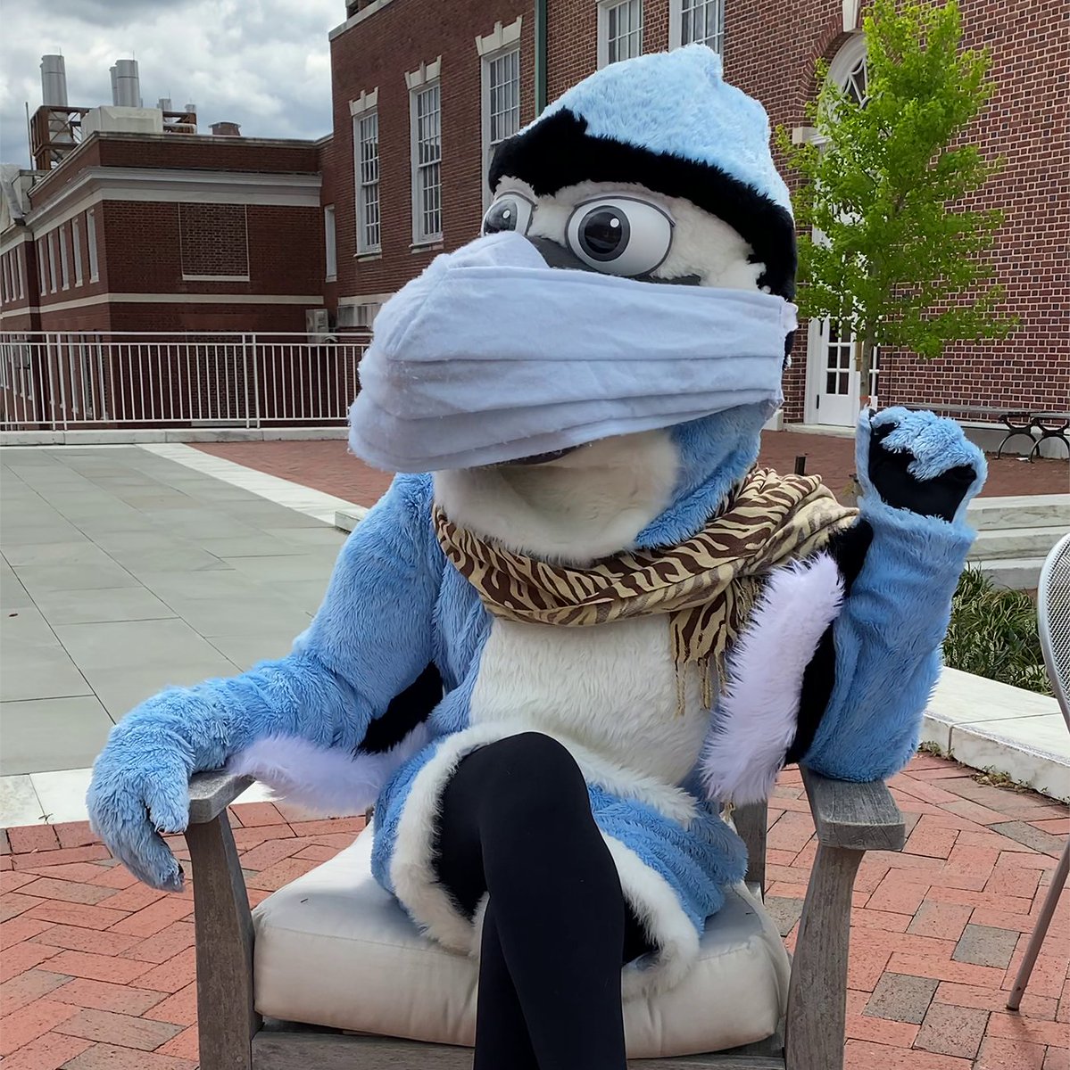 Johns Hopkins University Mascot