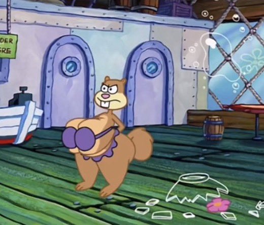 Sandy Cheeks Spongebob Mad