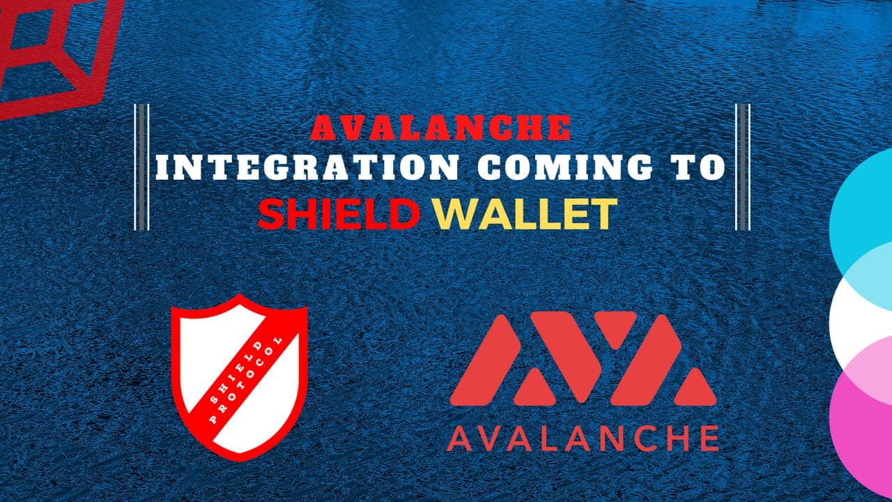 SHIELD PROTOCOL on Twitter: "What’s coming? Shield Protocol moving forward with development now ...