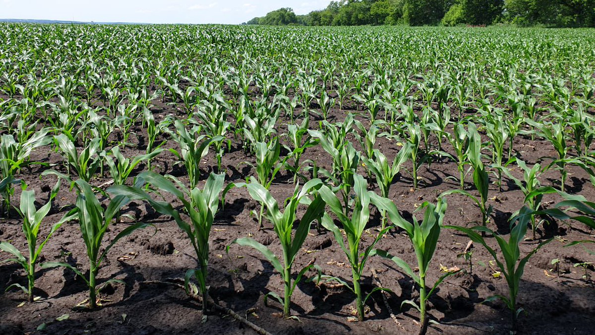 Oleg Levchenko (@OlegLevchenko3) | Twitter