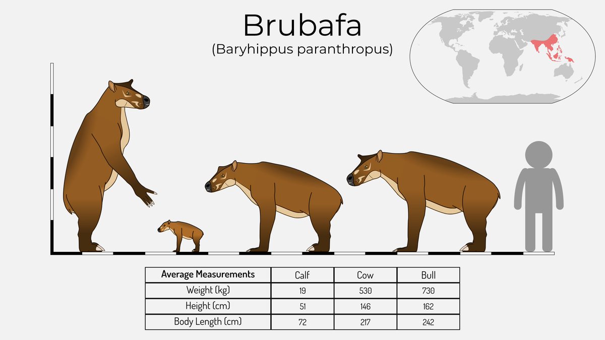 Brubafa, Earth's other sophont species (Project: Lansdell) : r ...