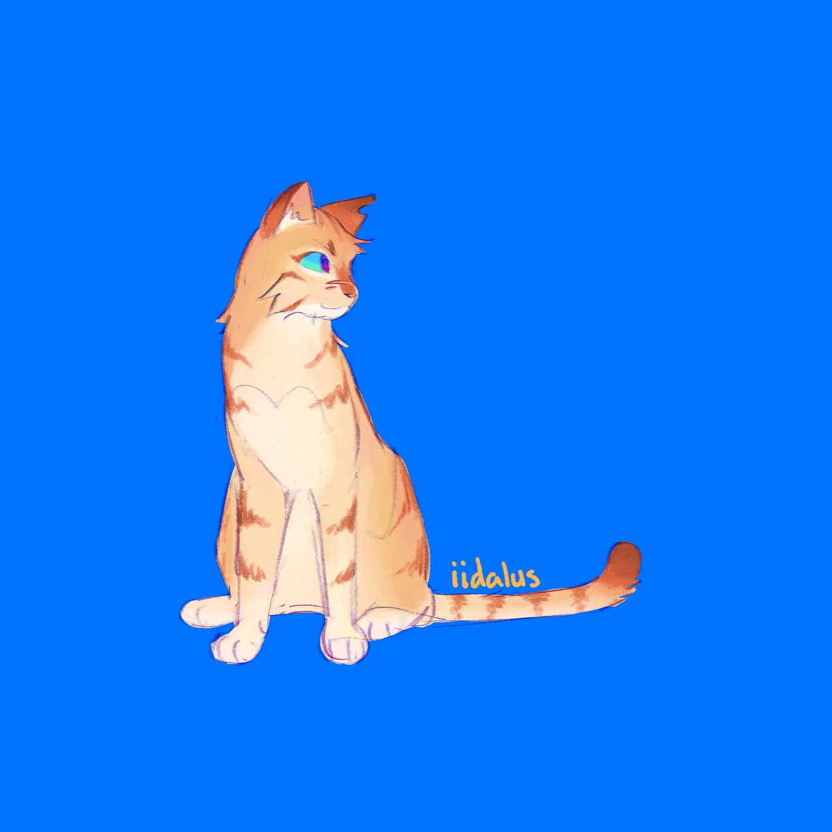 dsmp ] cat designs.... #tommyinnitfana」|beck 🍄のイラスト