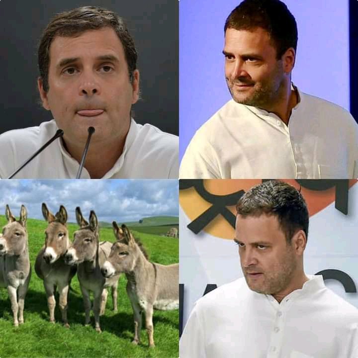 THE LAST VICEROY (@private_viceroy) | Twitter