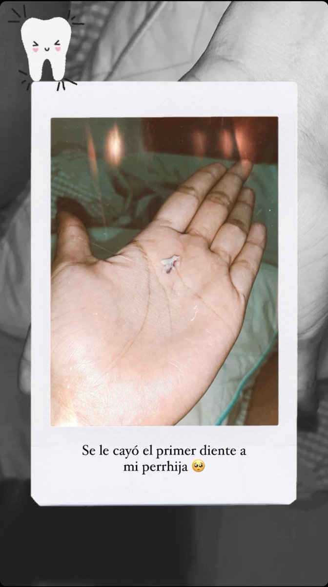 Daniela Corona (@Daniela_CR4) | Twitter