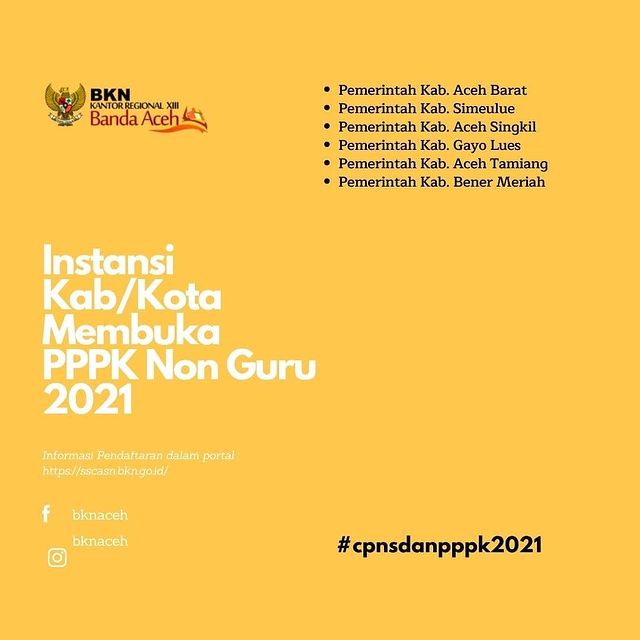 Instansi Yang Membuka Pendaftaran Casn Di Provinsi Kabupaten Kota Aceh