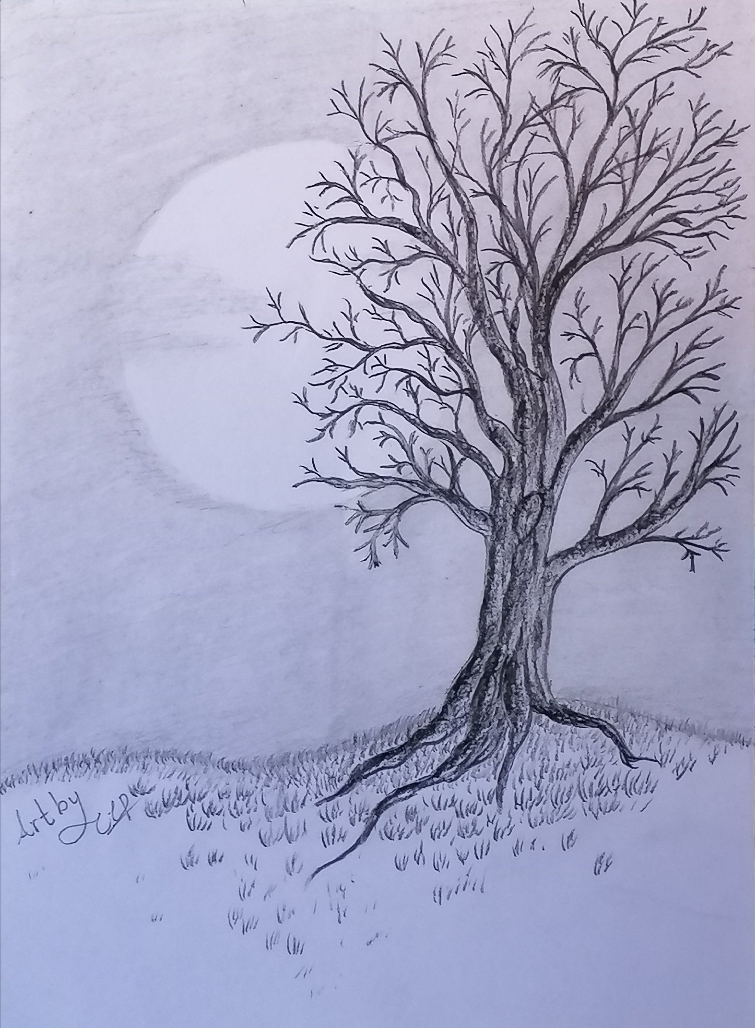 Beautiful Pencil Drawings Of Nature