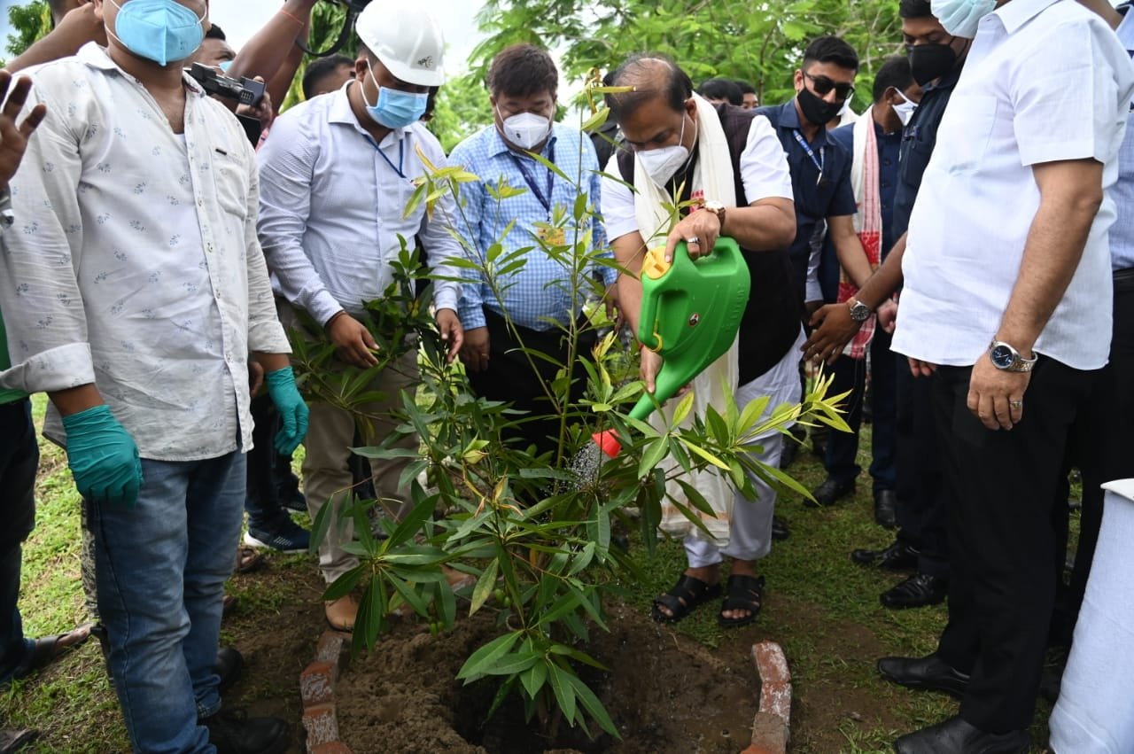 Massive afforestation drive to expand green cover in Assam – Way2Barak