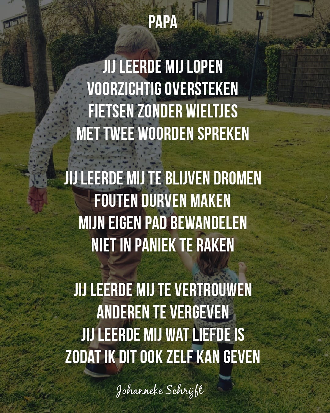Staar Papa Meme Wat Is Liefde Le Final | Maud Parent | Young Adult