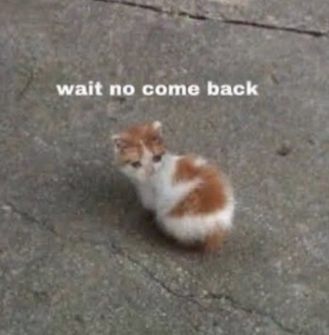 Leave Me Alone Cat Meme