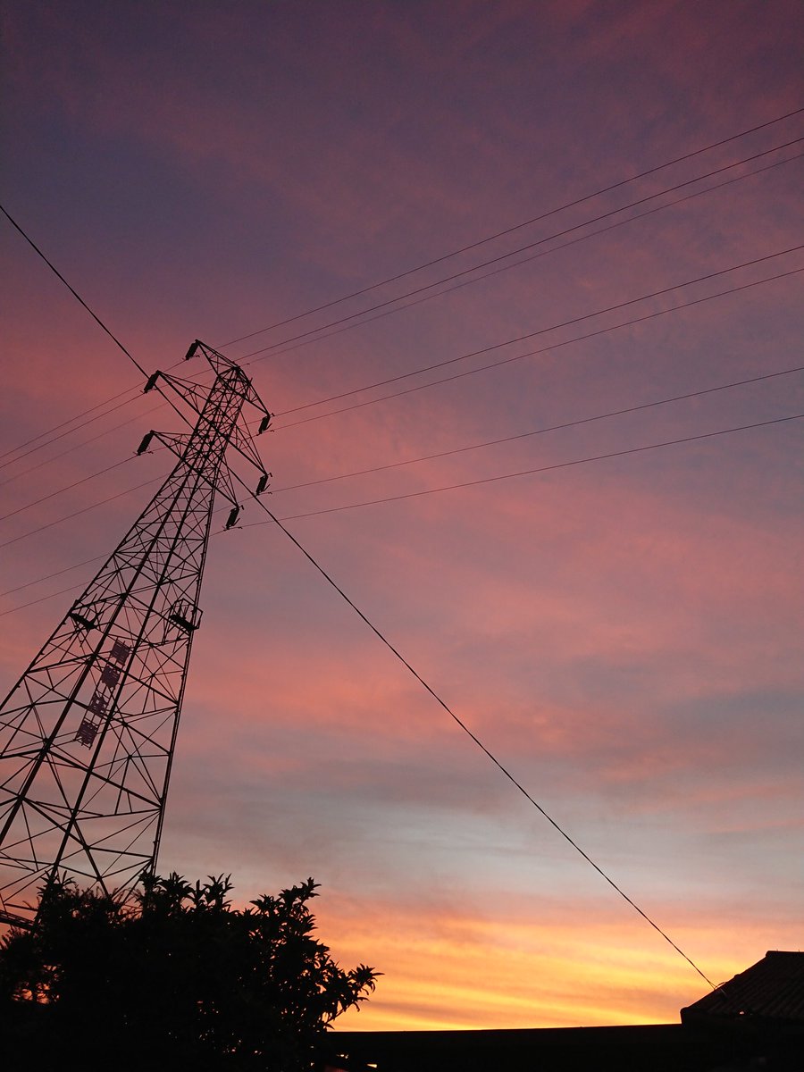 「Sora ni Orange 」|緋音のイラスト