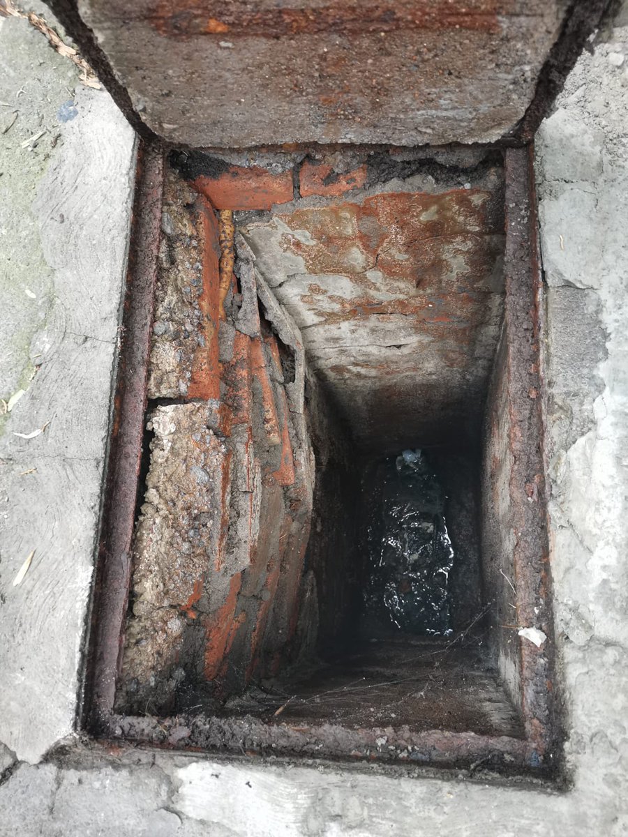 Rossy Marín (@marin_rosii) | Twitter