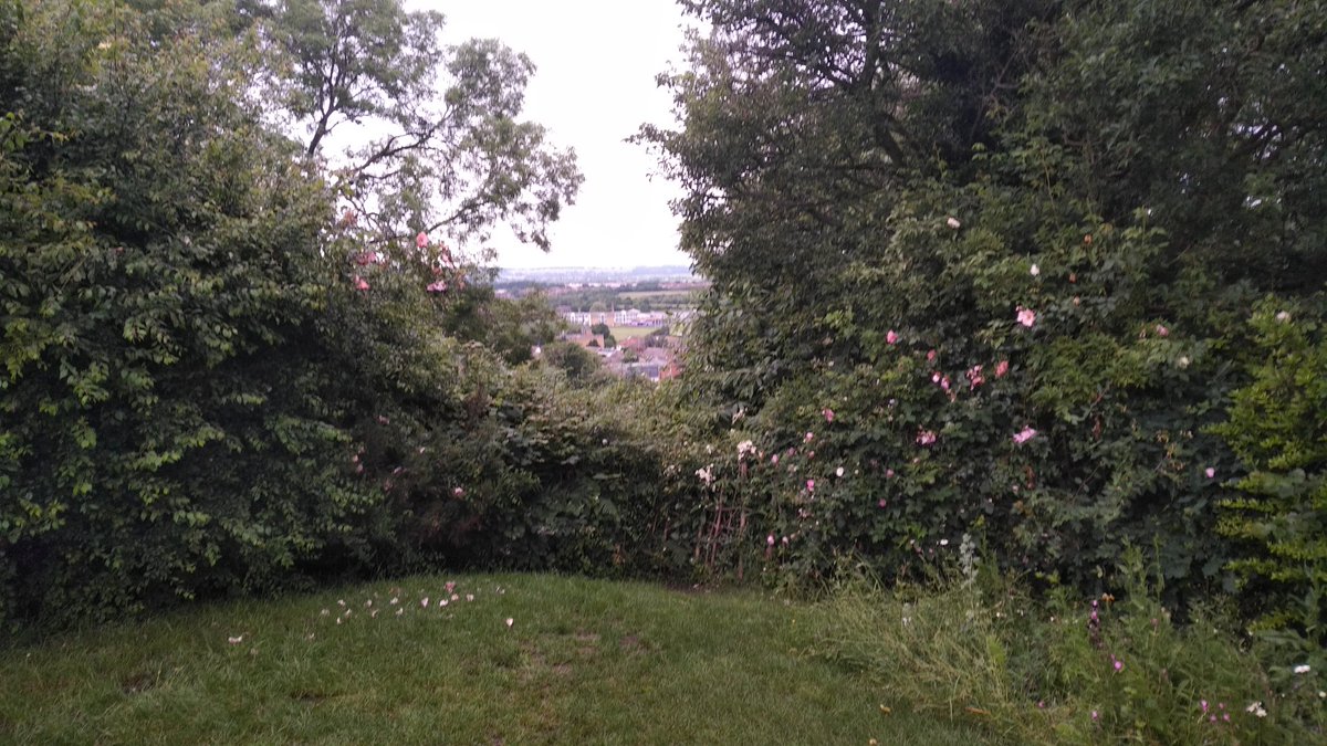 Caroline Elsey's Instagram, Facebook & TikTok on IDCrawl