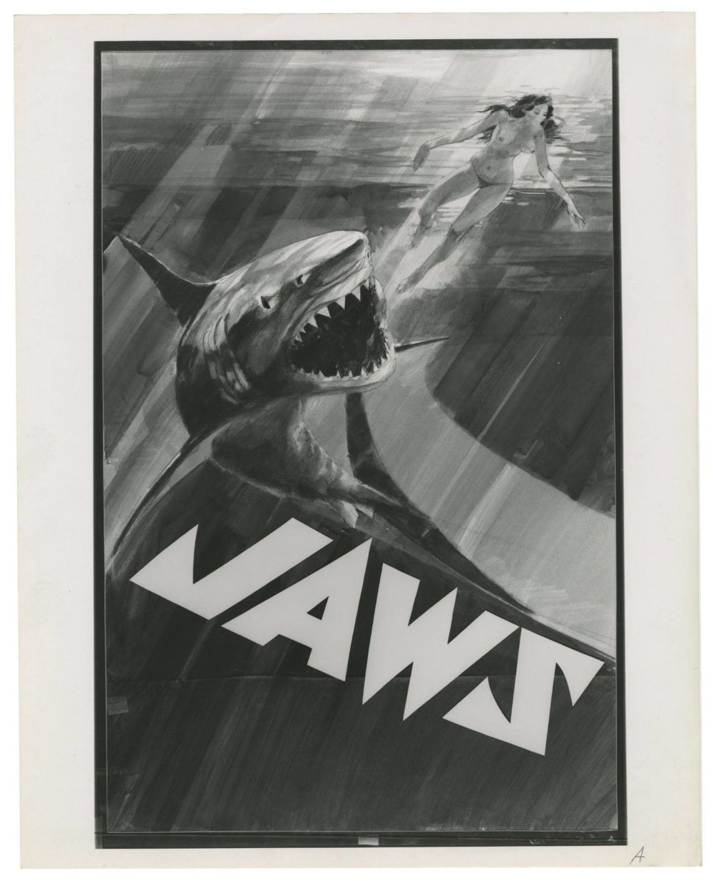 Jaws 5 Poster