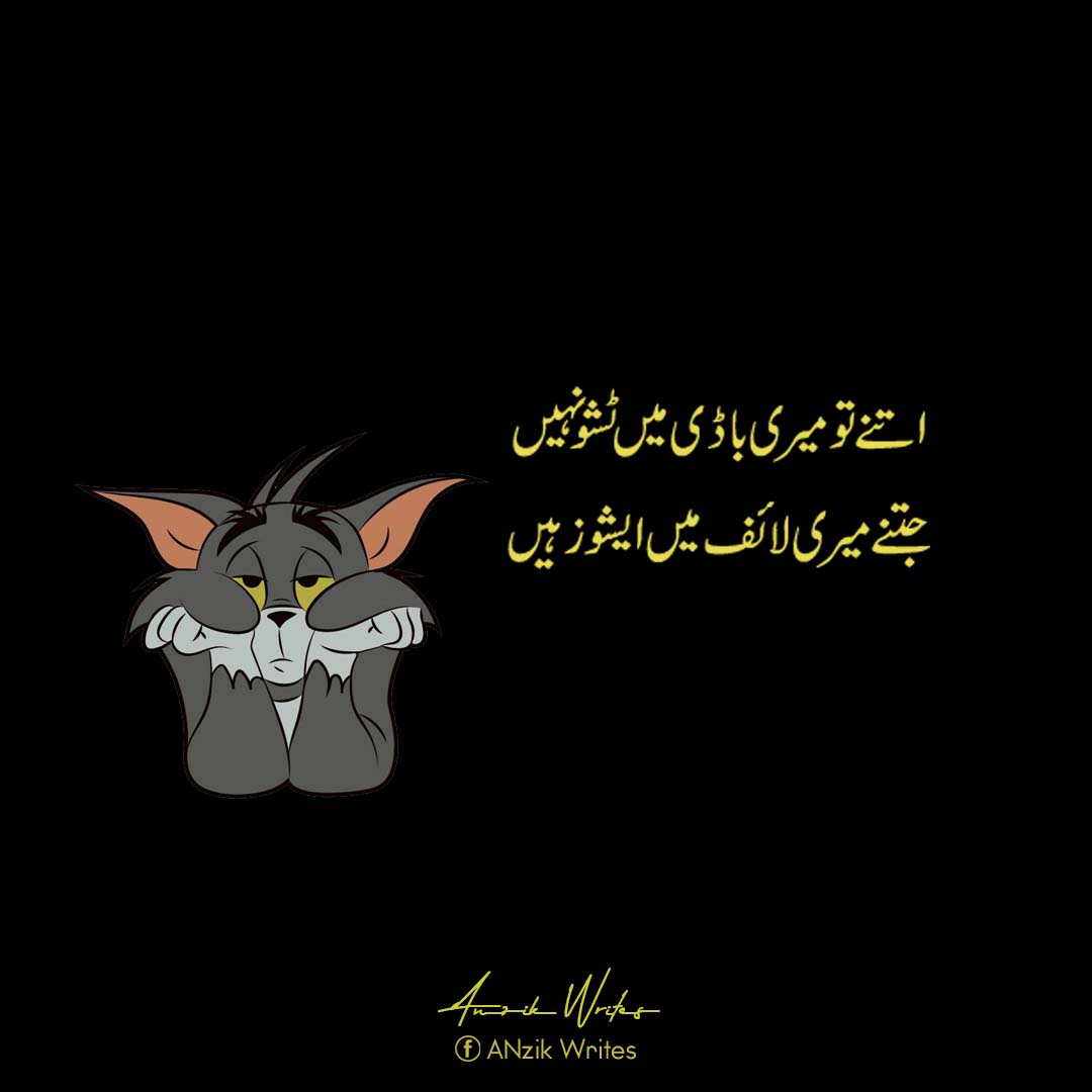 Peshawar Funny Quotes