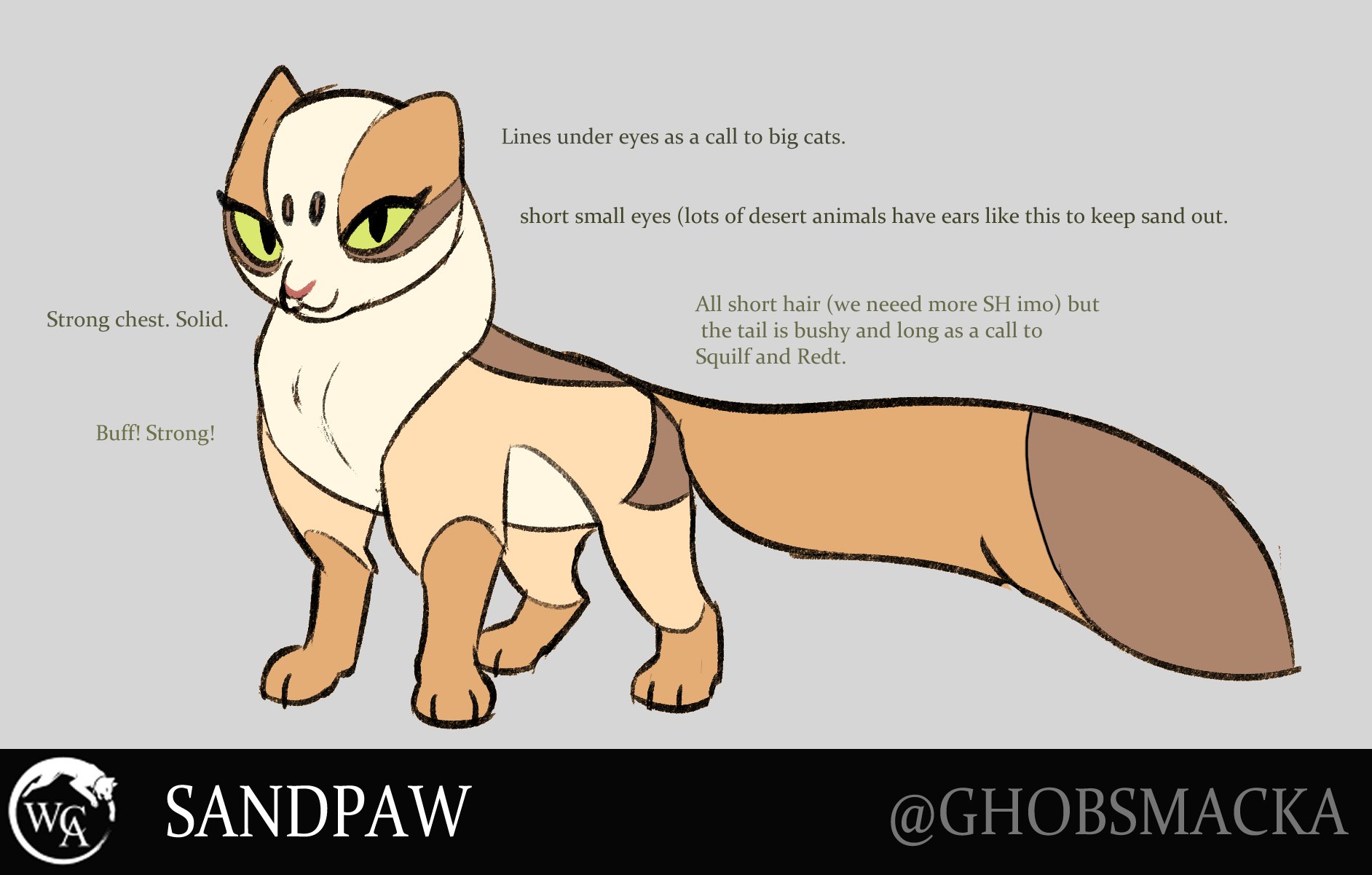 Warrior Cat Sandstorm