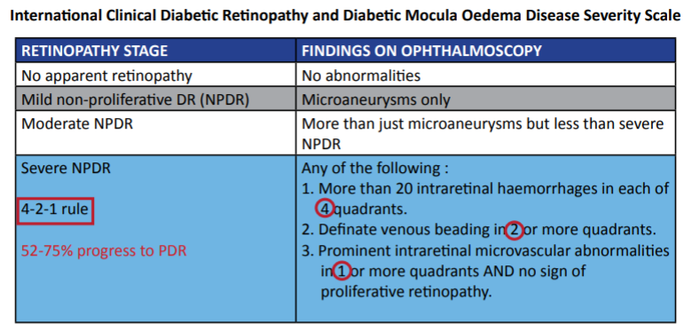 International Disease Clinic Diabetic Retinopathy Severity Scale