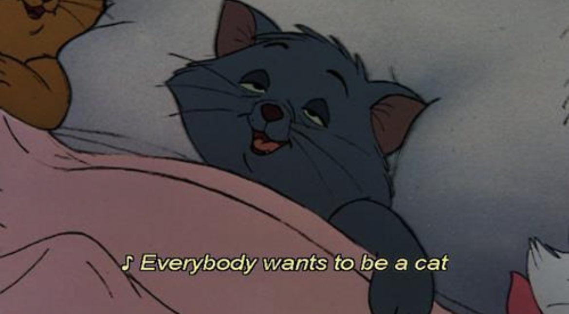 Lisa (@Pla_Risa) | Twitter