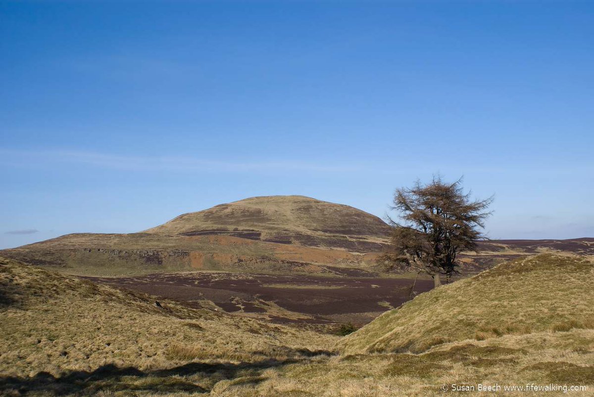 Fife Walking @FifeWalking X Profile | Muskviewer