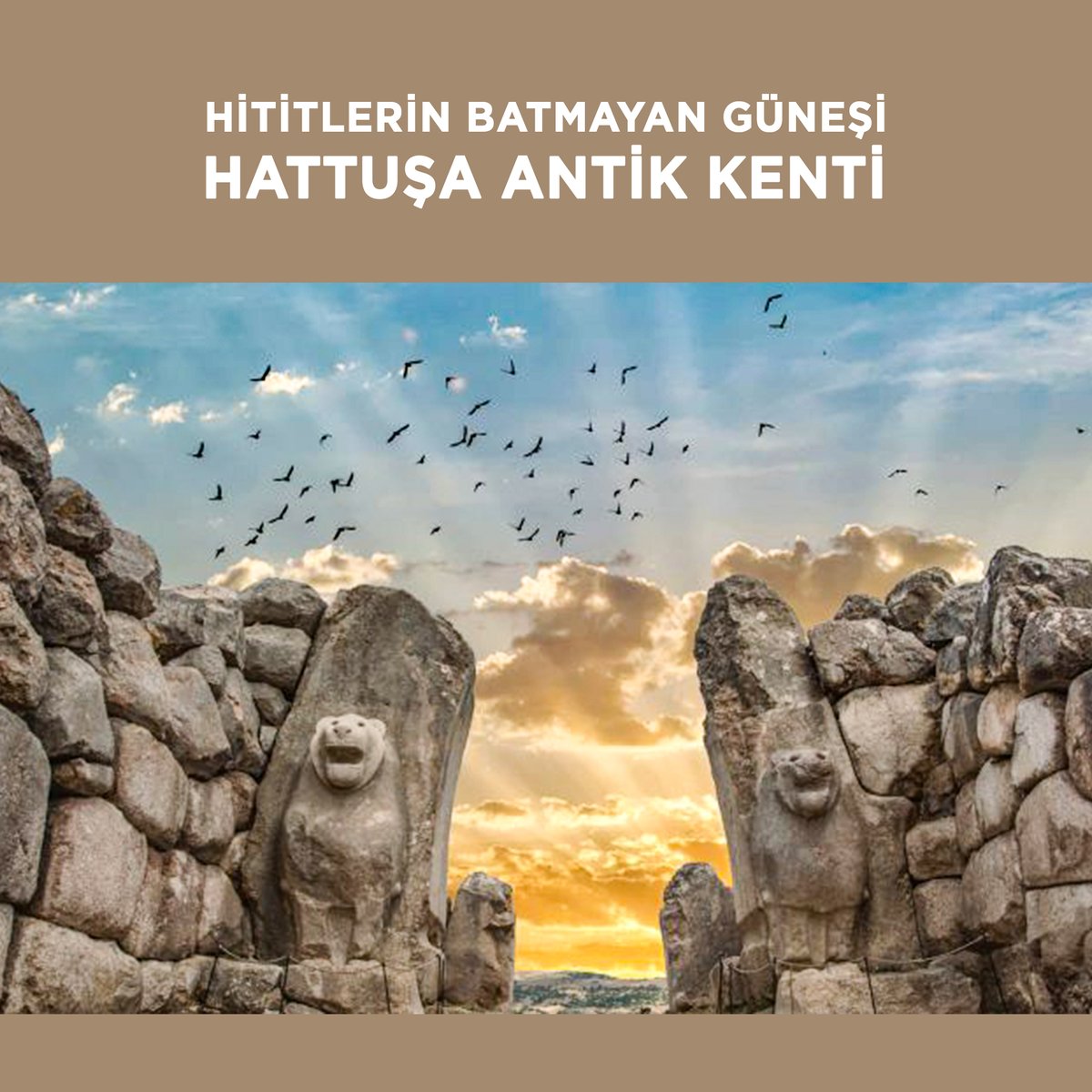 Sara Gamil (@gemil_sara) | Twitter