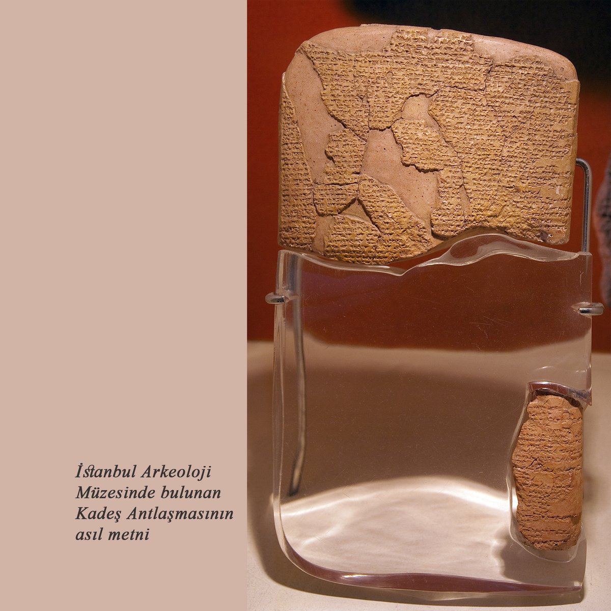 Sara Gamil (@gemil_sara) | Twitter