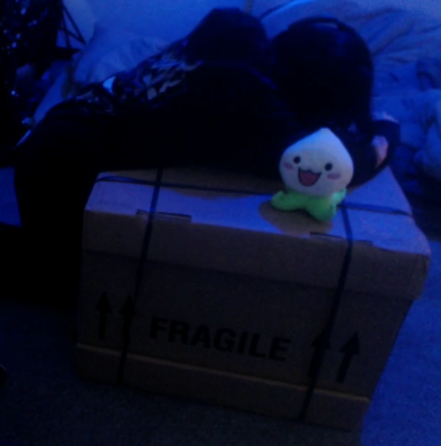 TW Pornstars - Dude That's Lewd (18+). Twitter. New PC arrived, about ...