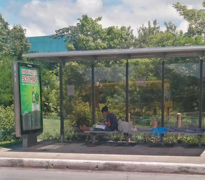 Joven estudia en una parada de buses en Panamá Viejo, conductores ...