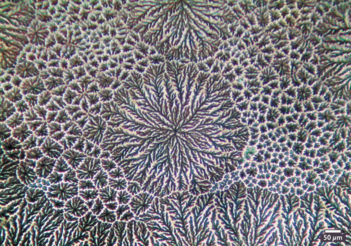 Magnified Mucus Nose