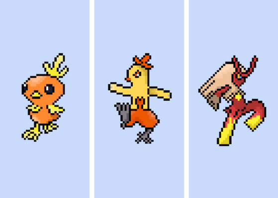 Pokemon Combusken Evolution