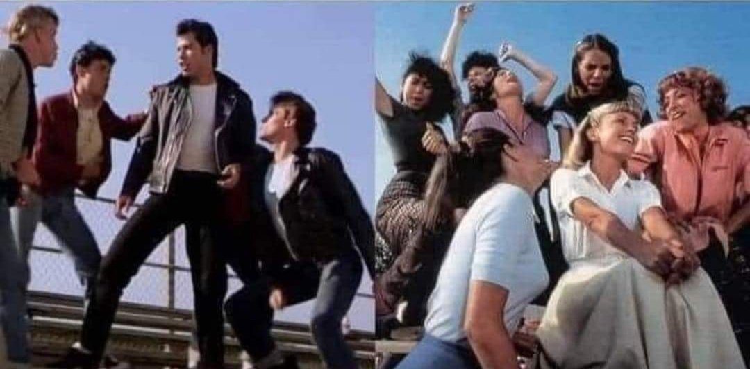 Summer Nights Grease