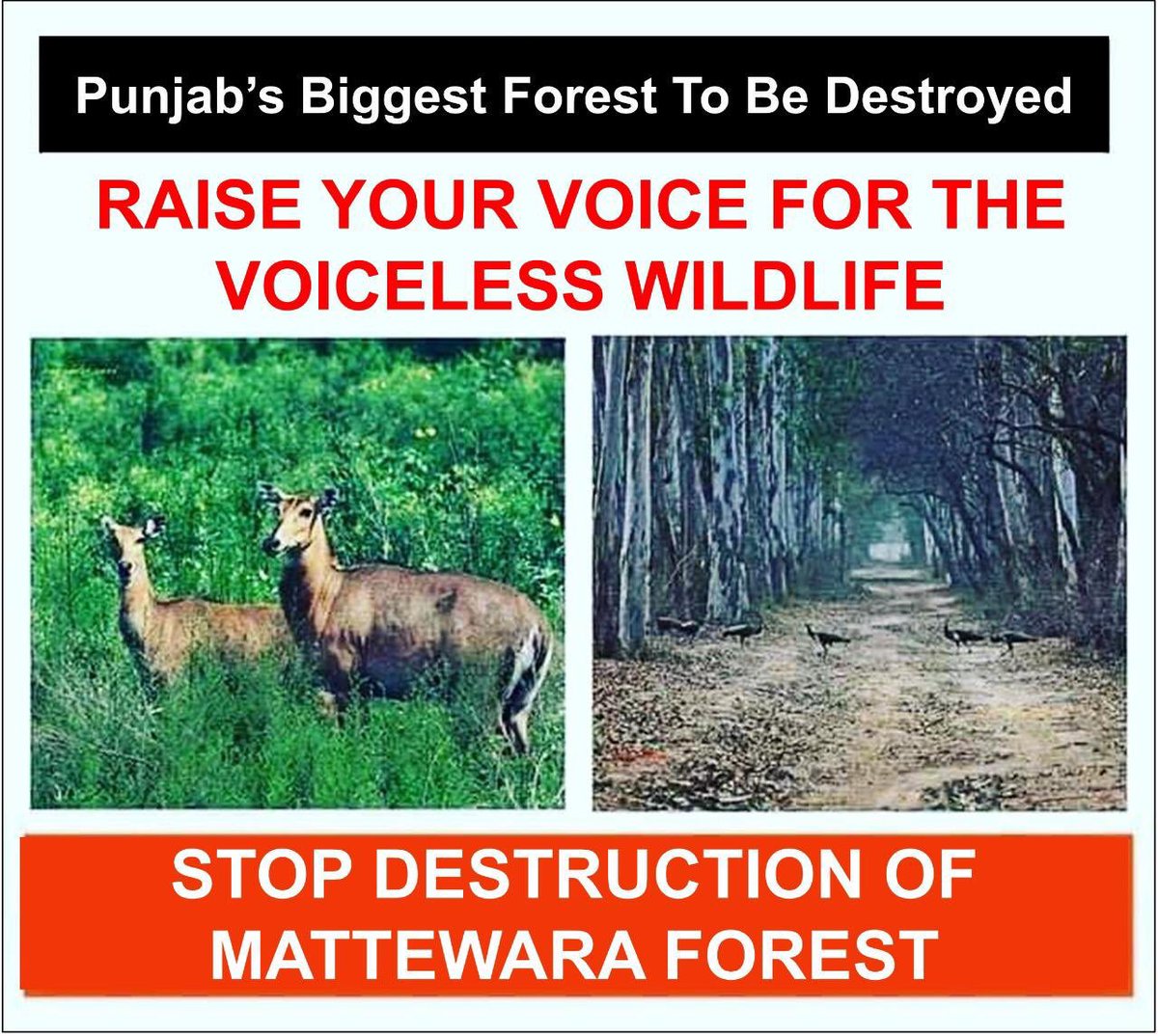 Twinkle goyal (@goyaltwinkle) | Twitter