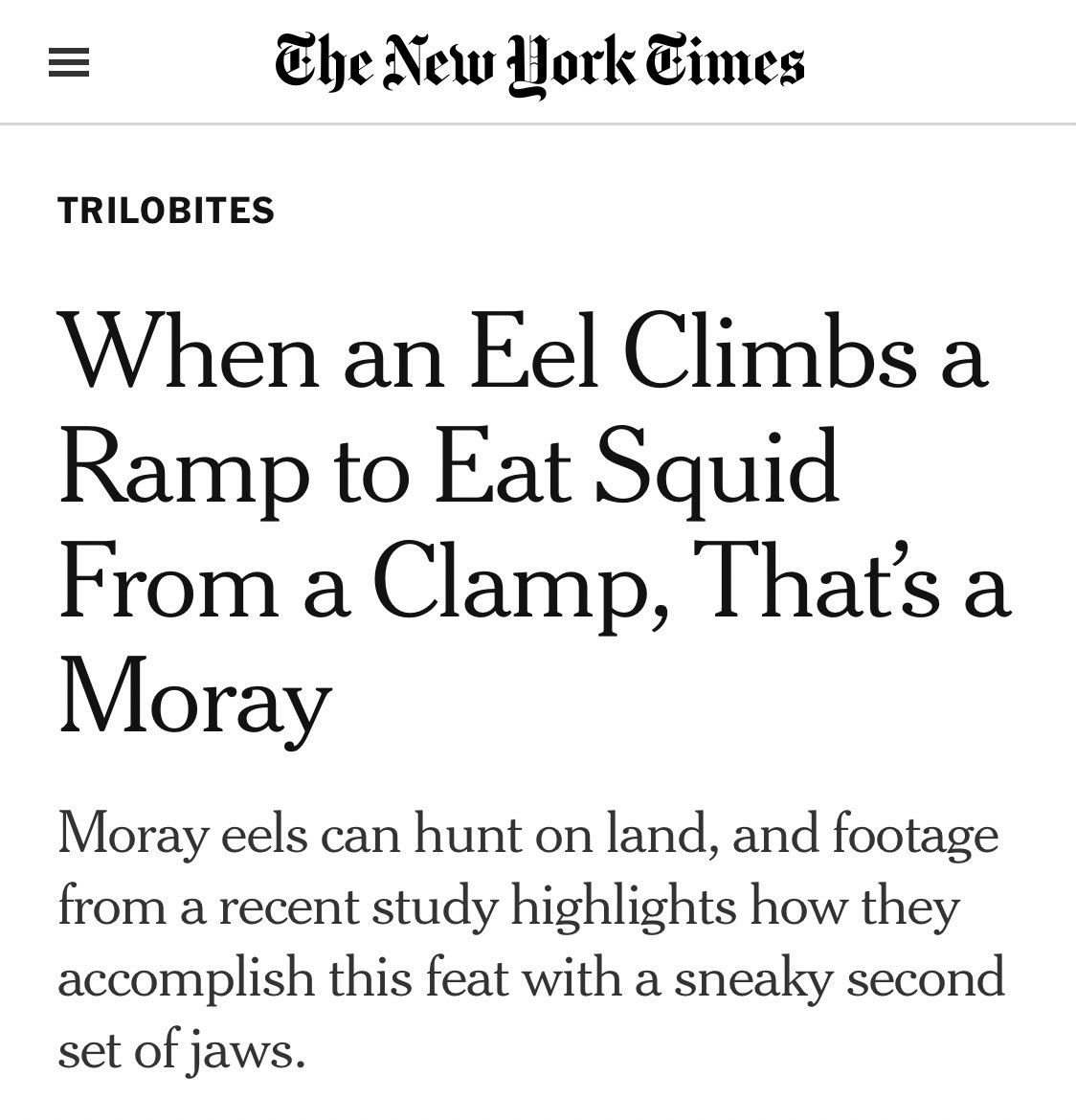 Eli Yokley on Twitter: "good morning ONLY to NYT headline writers https://t.co/iafGEgrL2A https ...