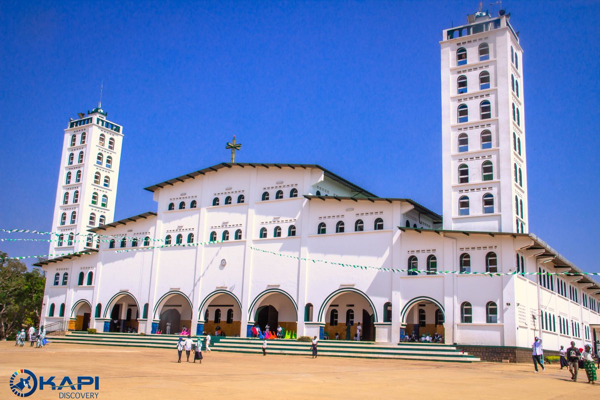 OKAPI DISCOVERY (@DiscoveryOkapi) | Twitter