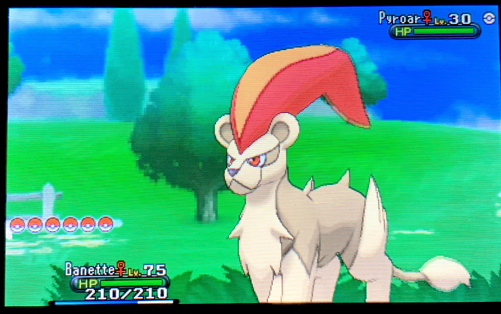 Shiny Pyroar