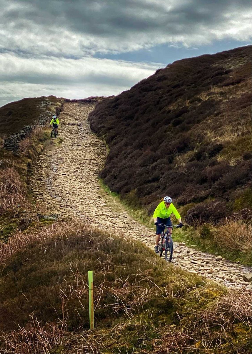 EDGE PS – Project Management • Cost Management • Building Surveying ...