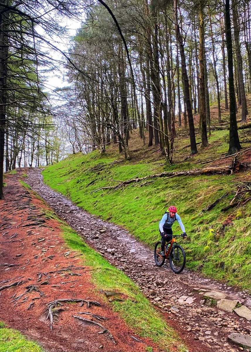 EDGE PS – Project Management • Cost Management • Building Surveying ...