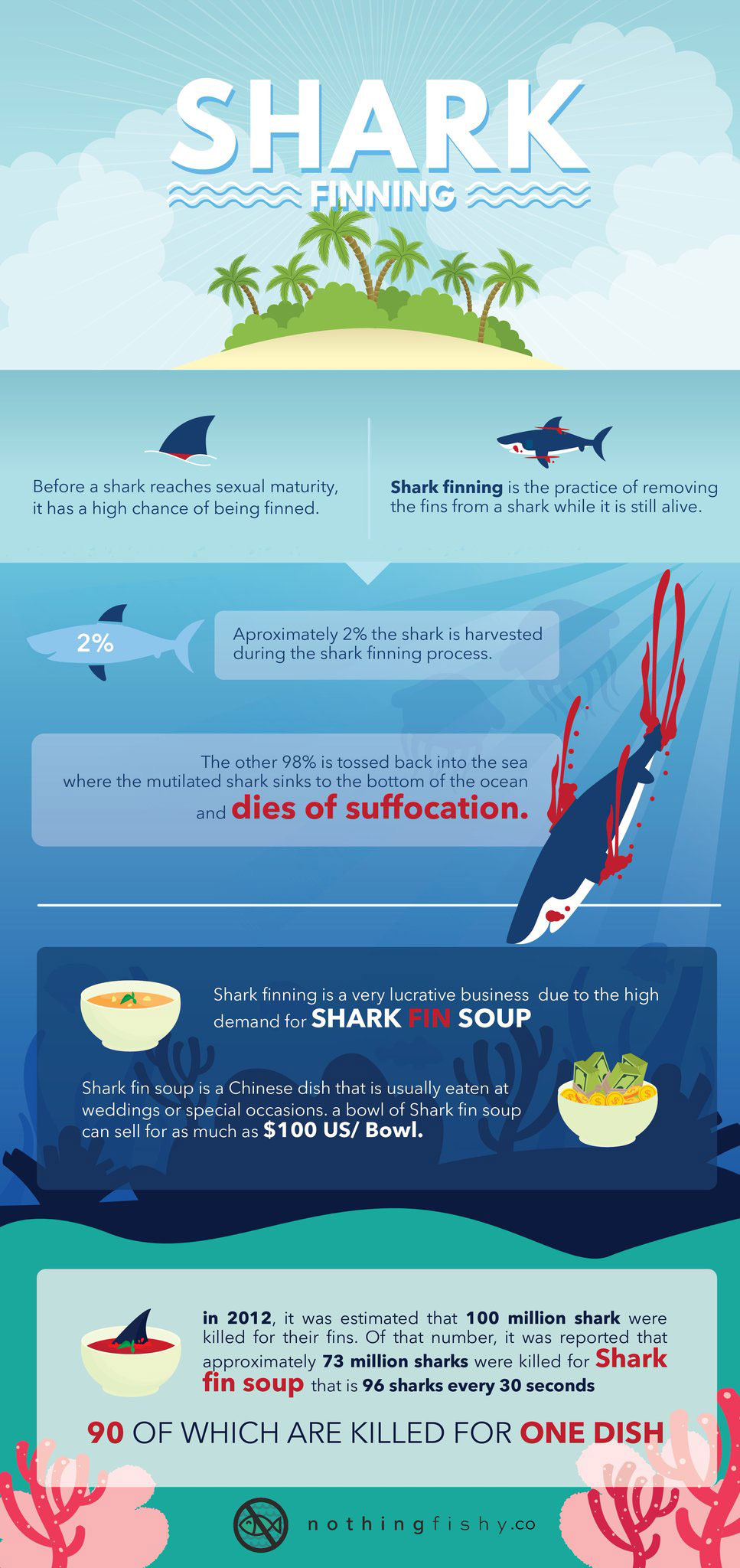 Shark Finning Process