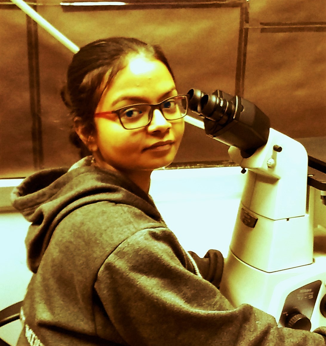 Arnab Mukhopadhyay's Instagram, Twitter & Facebook on IDCrawl