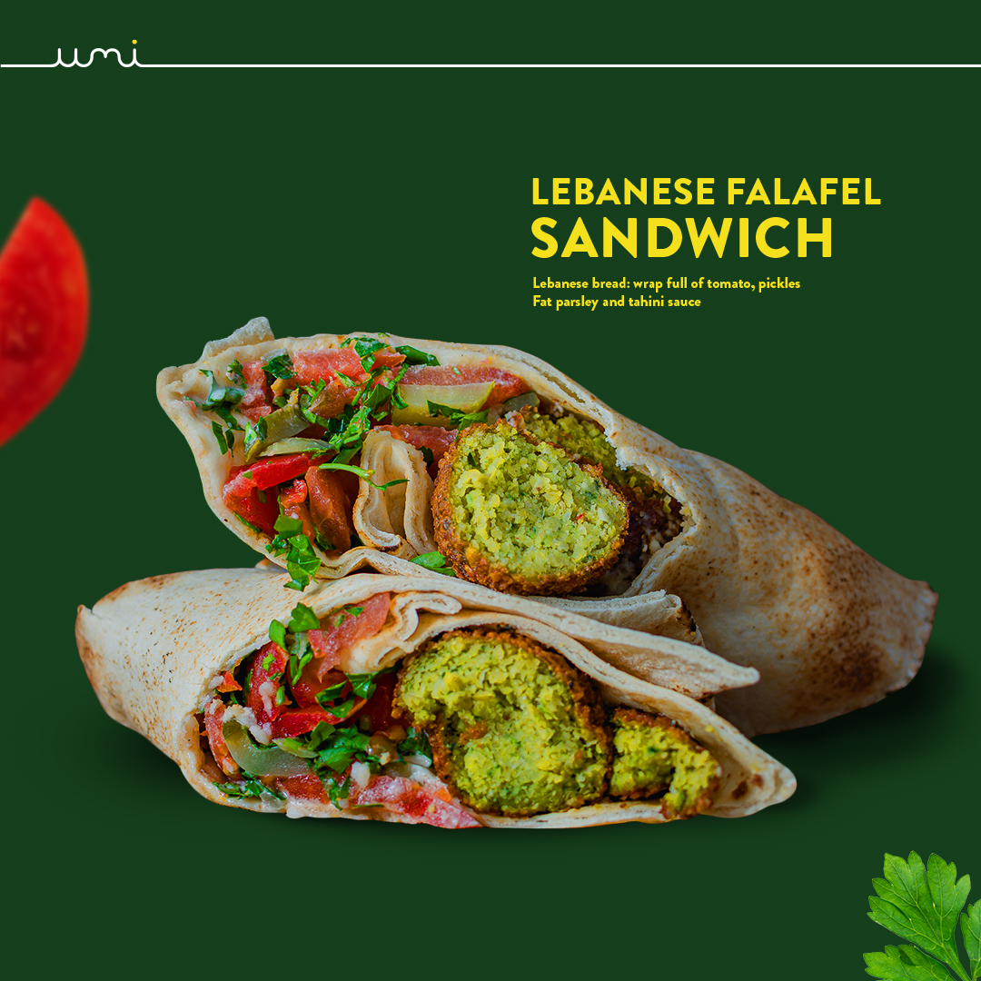 Lebanese Falafel Wrap