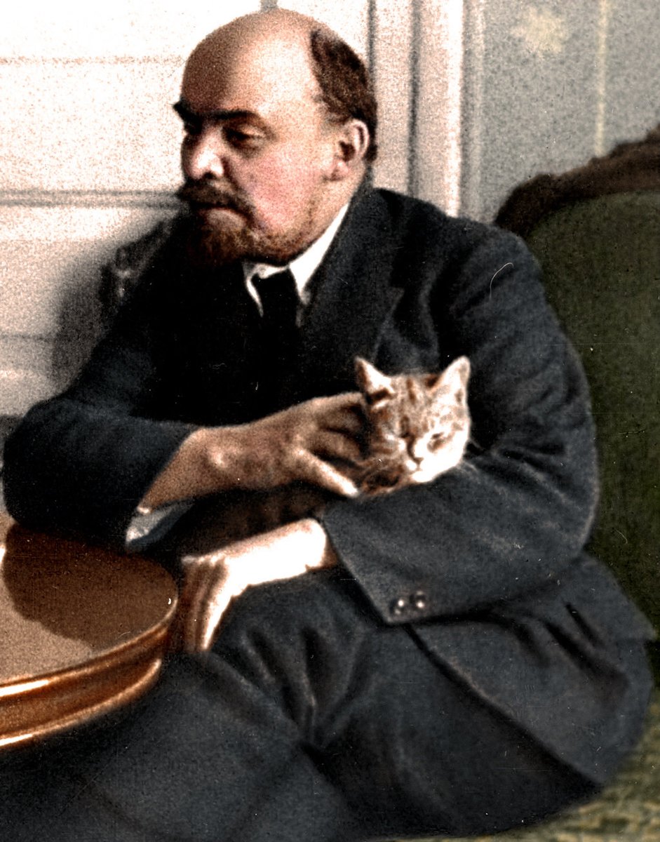 Lenin Cat Gif
