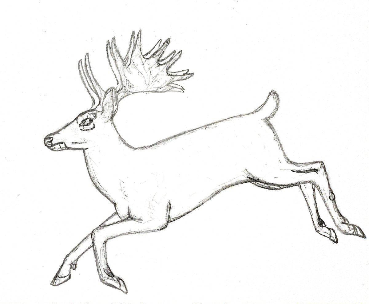 Drew June 2022 (@anthro_andrew) さんのイラスト・マンガ作品まとめ (24 件) - Twoucan