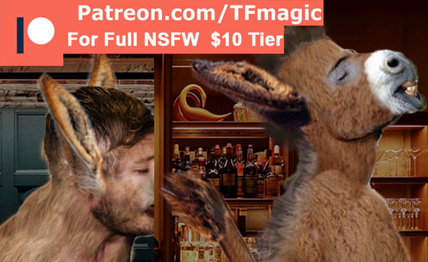 Weredonkey Transformation