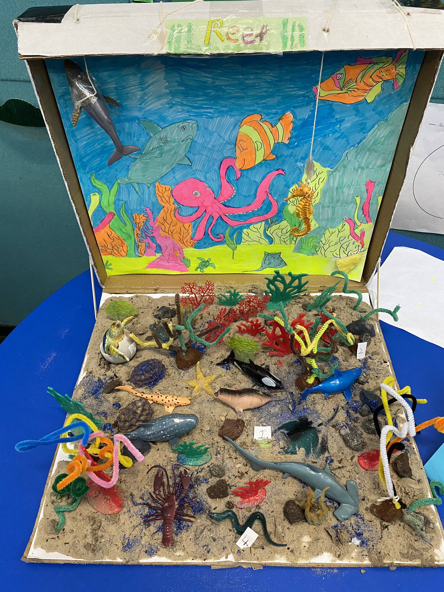 Ocean Ecosystem Project